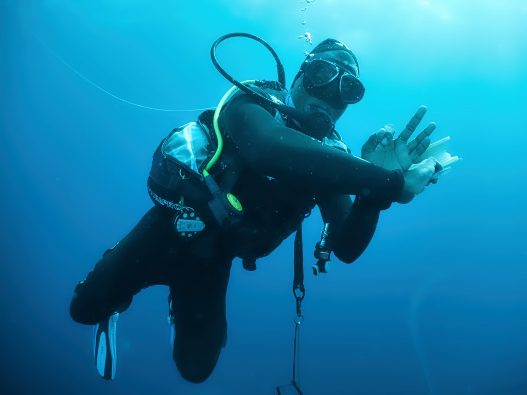 Portraits of Dive Master - Mozambique